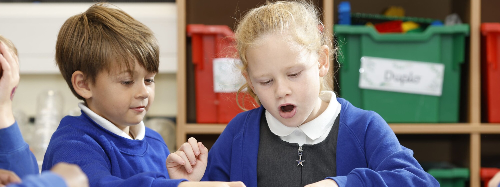 Curriculum Overview - Shears Green Infant School